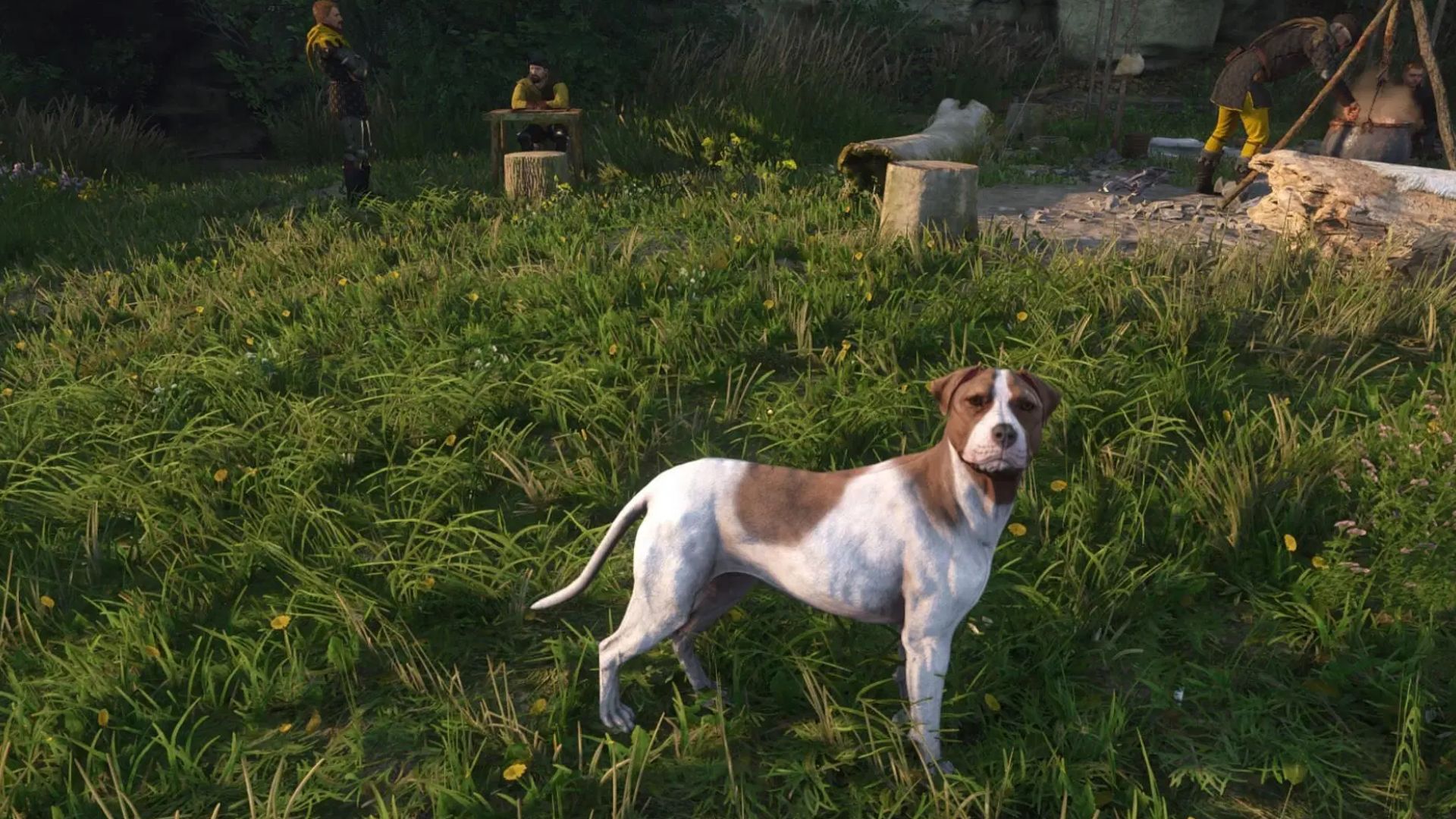 Kingdom Come: Deliverance 2, guida: Come e dove trovare il cane Mutt ...